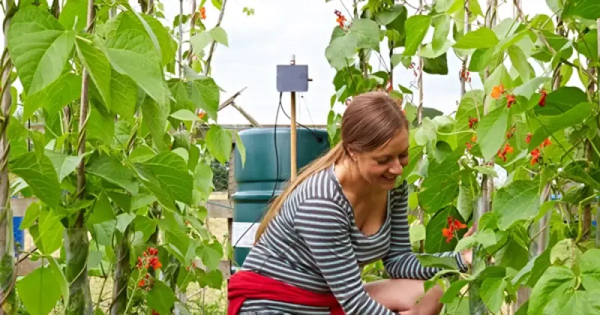 Irrigatia - Now as Seen on TV! | Irrigatia Blog | Irrigatia