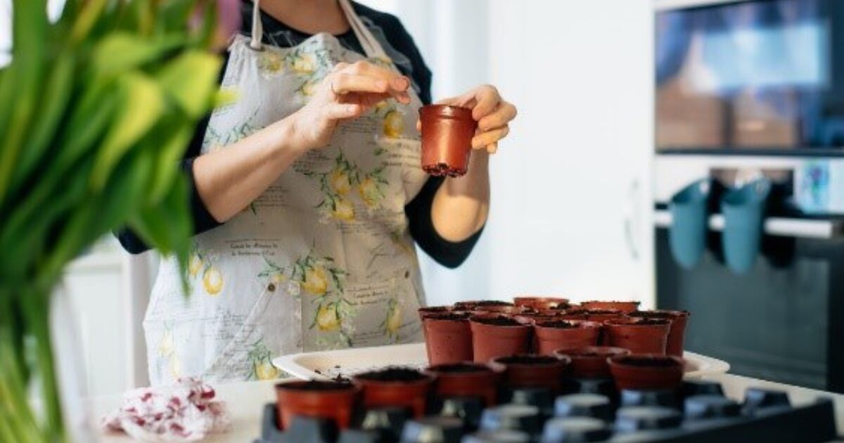 Our Checklist to Help You Get Back Into Gardening